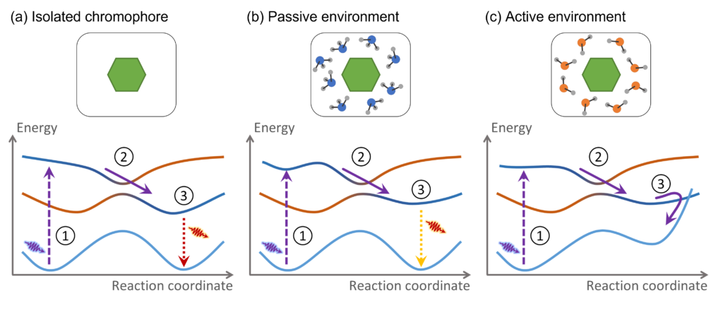 Modeling charge and energy transfer in active environments – Light and ...